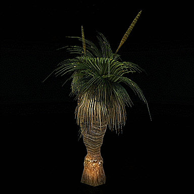 Yakka Tree 01 | Rift Dimension Addicts